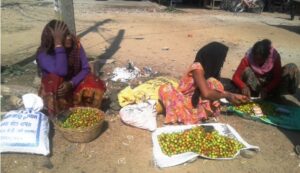 बयर र केशोर उत्पादक किसान निराश | Nepalvani | नेपालवाणी